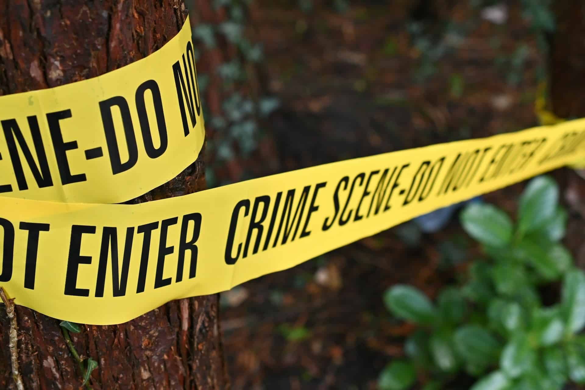 The Whitmire Ghoul: What we know - Rick's Blog